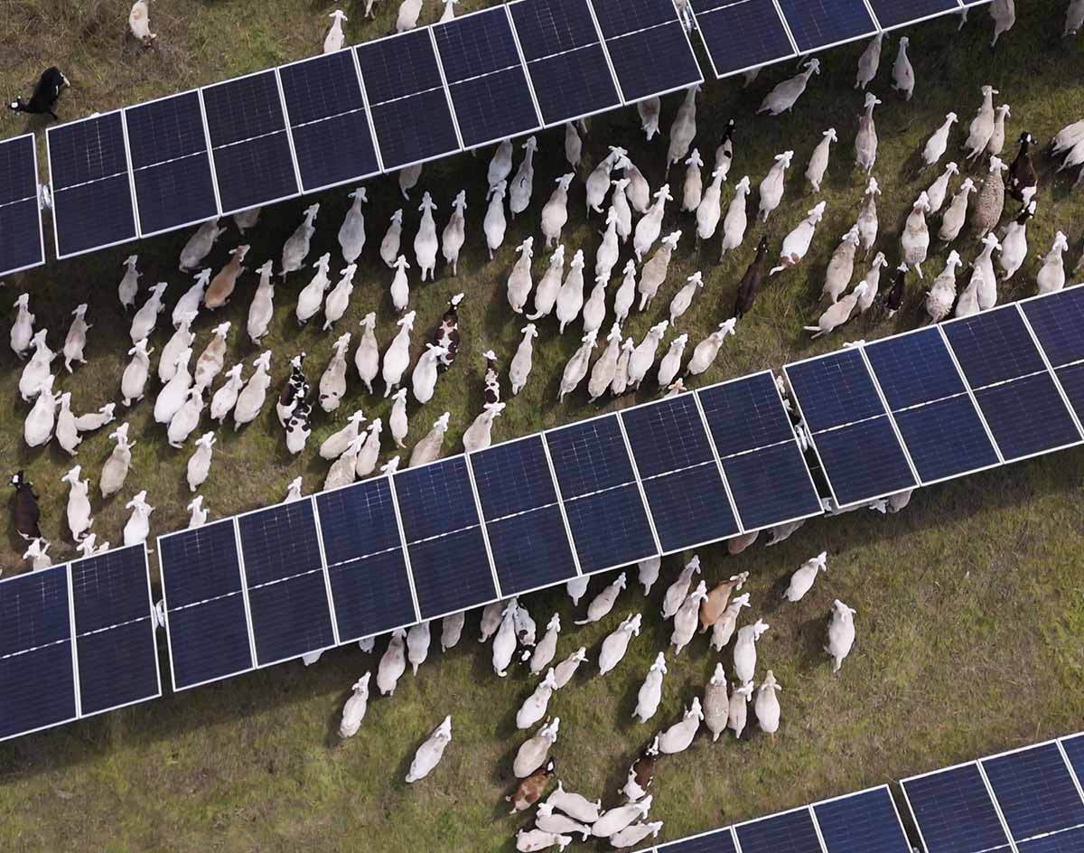 Home | Xcel Energy | Official Site